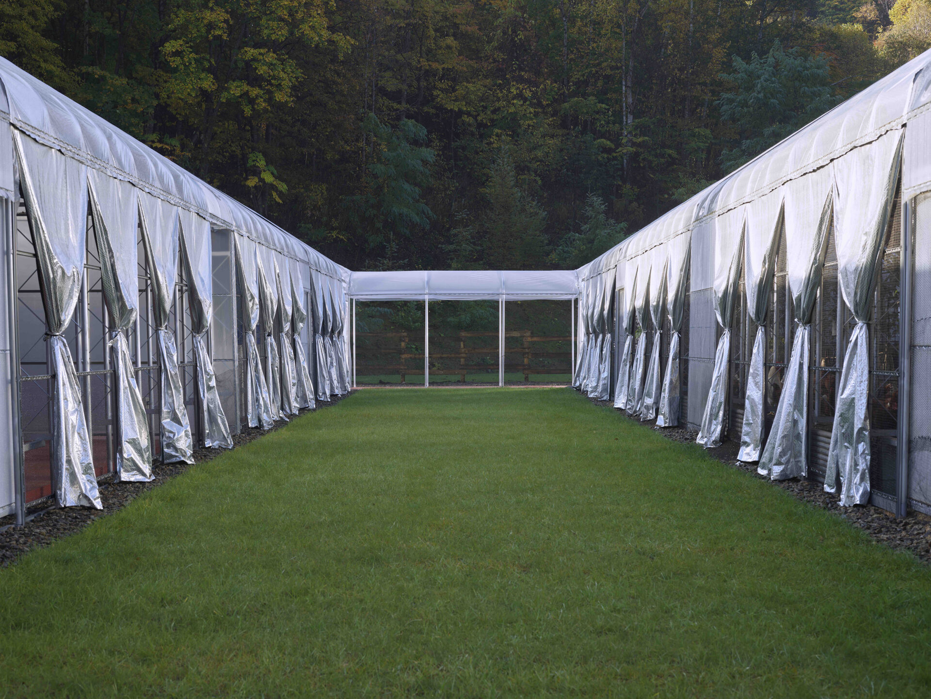 bankei-farm_20221014_0708_out-c1-100per_ps 1_high-res_q100_8bit_adobe ...